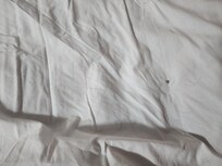 Animal hair all over linens