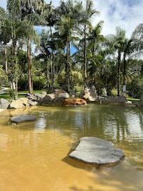 There are a selection of different temperature pools to enjoy
