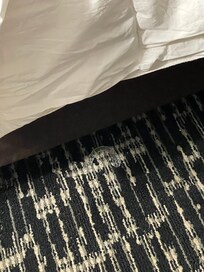 Someones retainer on the dirty ground. Hard to see dirt cus the carpet is dark