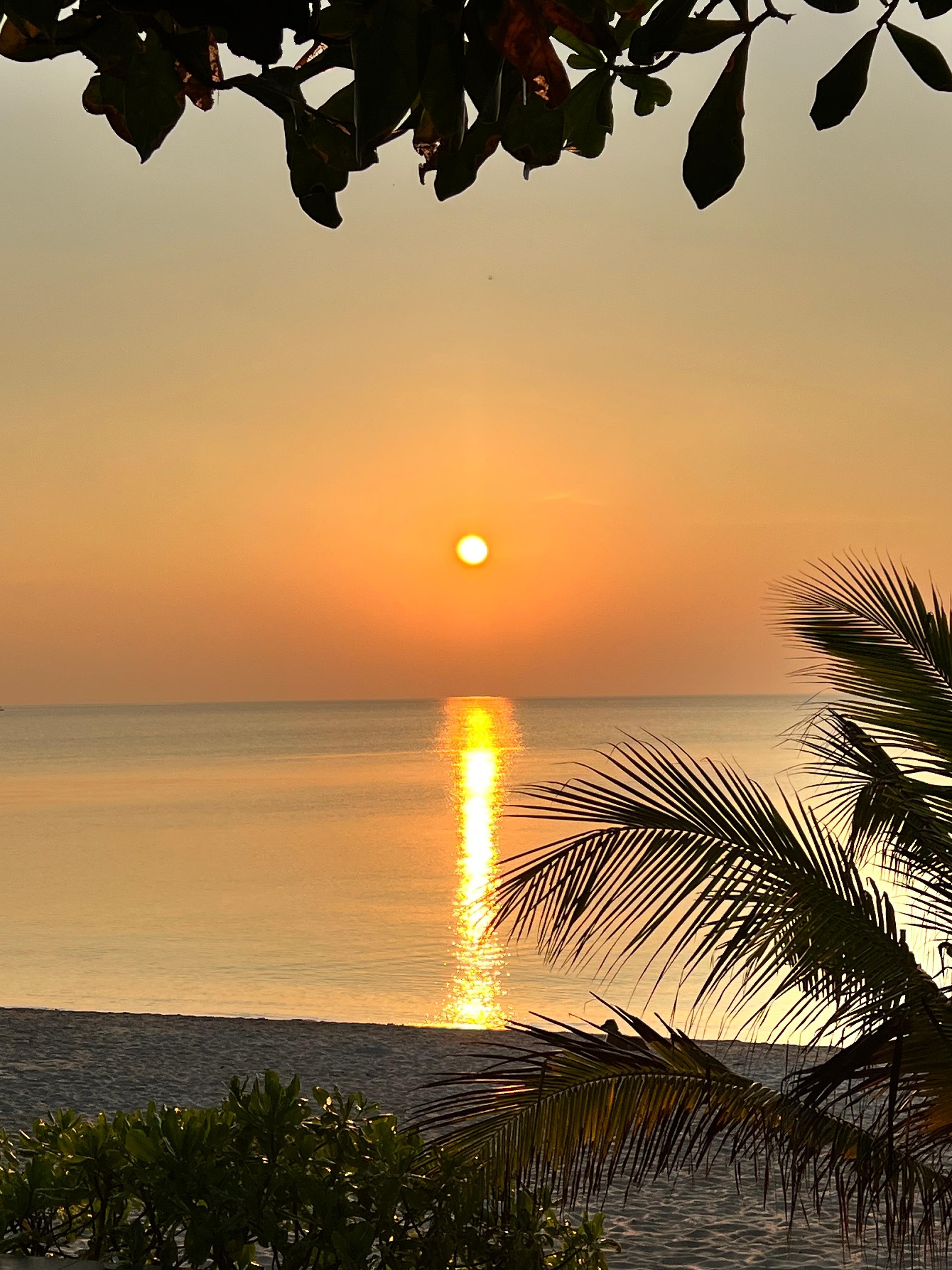 Sol opgang set fra pool området