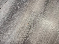 The dead roach that came out the bed