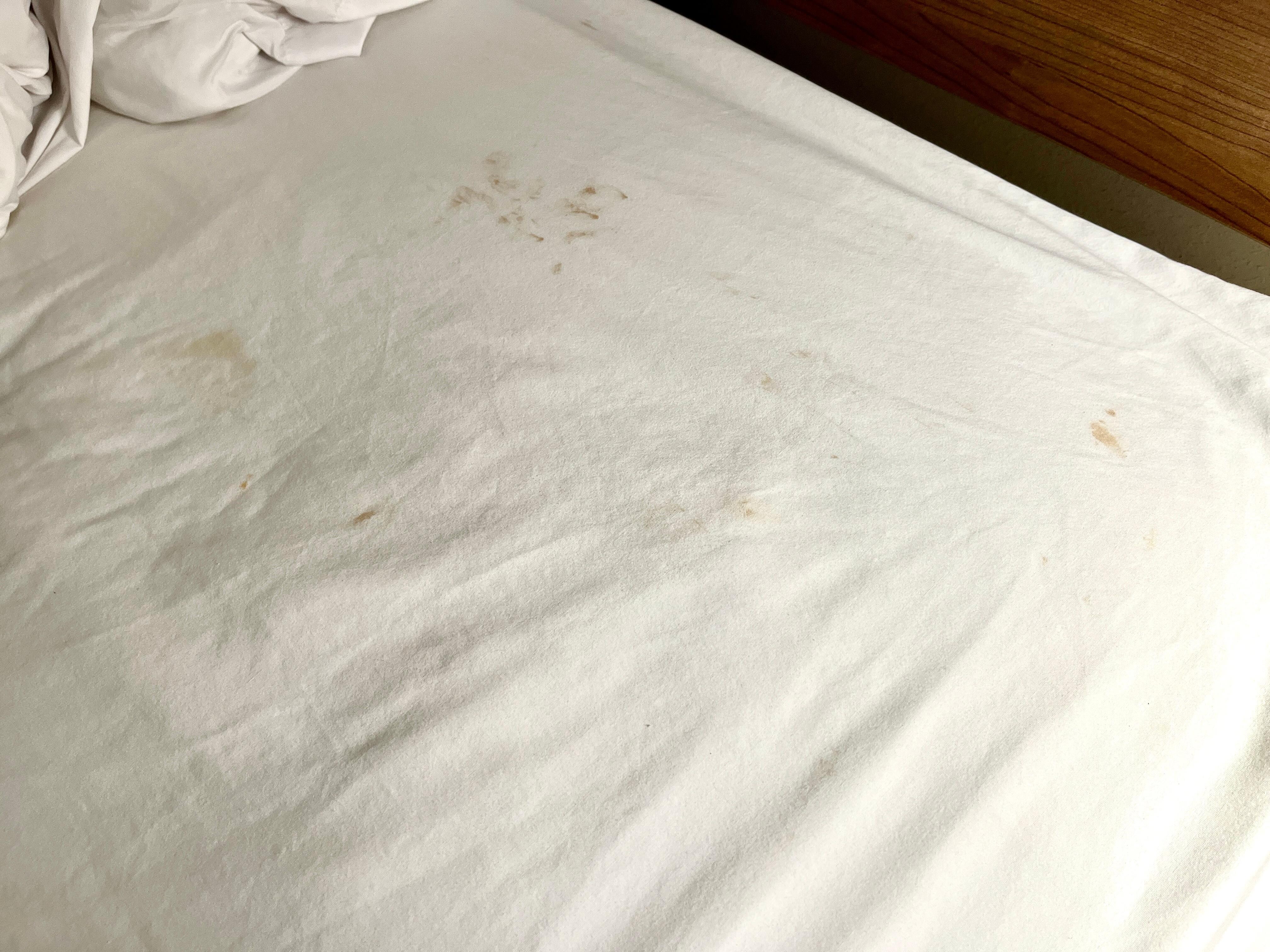 Imagine being greeted by this fitted sheet after you’ve settled into your hotel room for the night. 