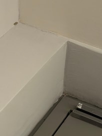 Mottenlarven, grobe Hygienemängel