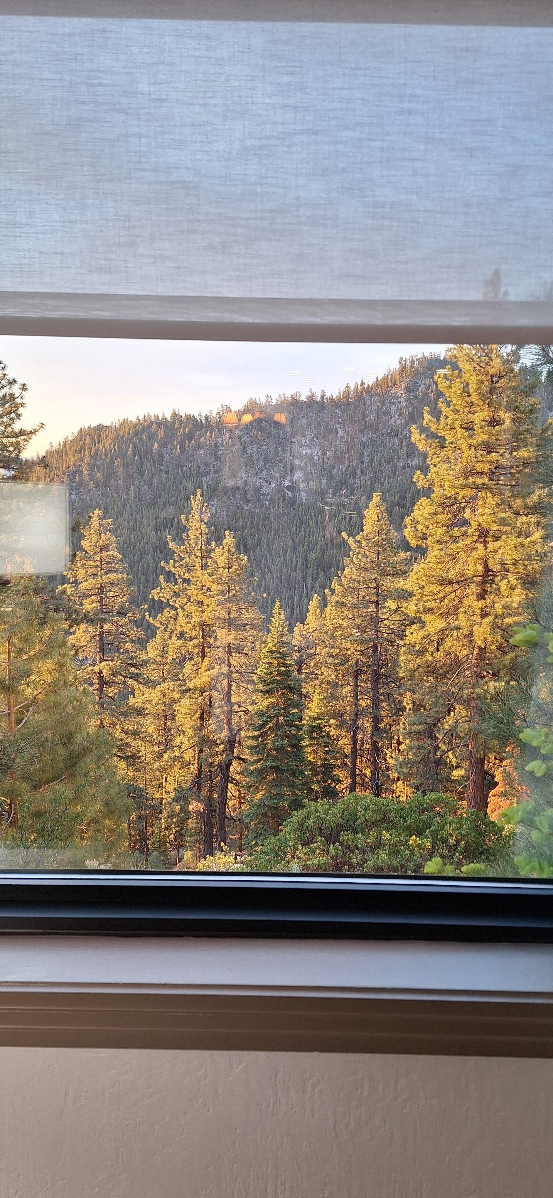 Amazing View from our suite. 