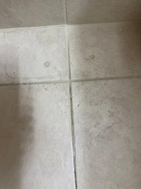 Dirt on the bathroom floor. I cleaned some with a Lysol wipe I had with me.