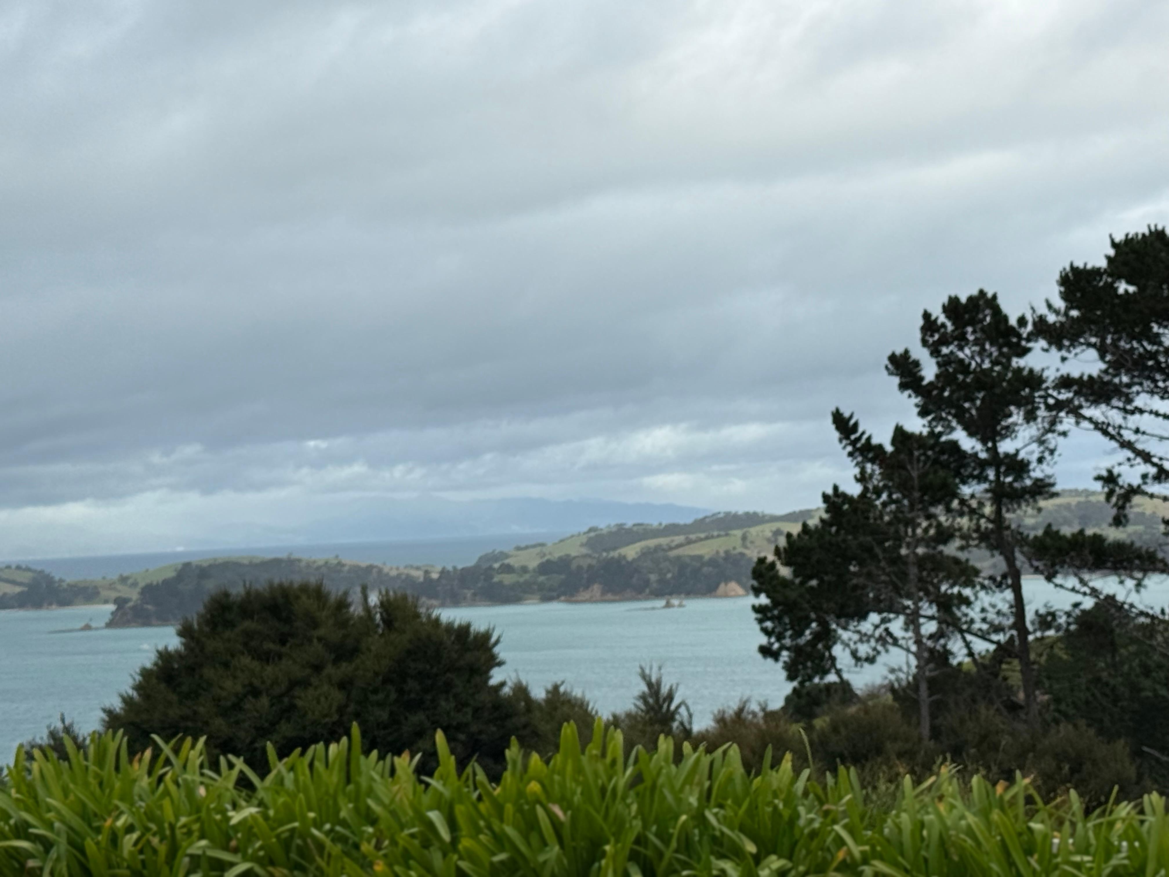 Ferry to Waiheke Island for WI-Gin Tasting ! Excellent 