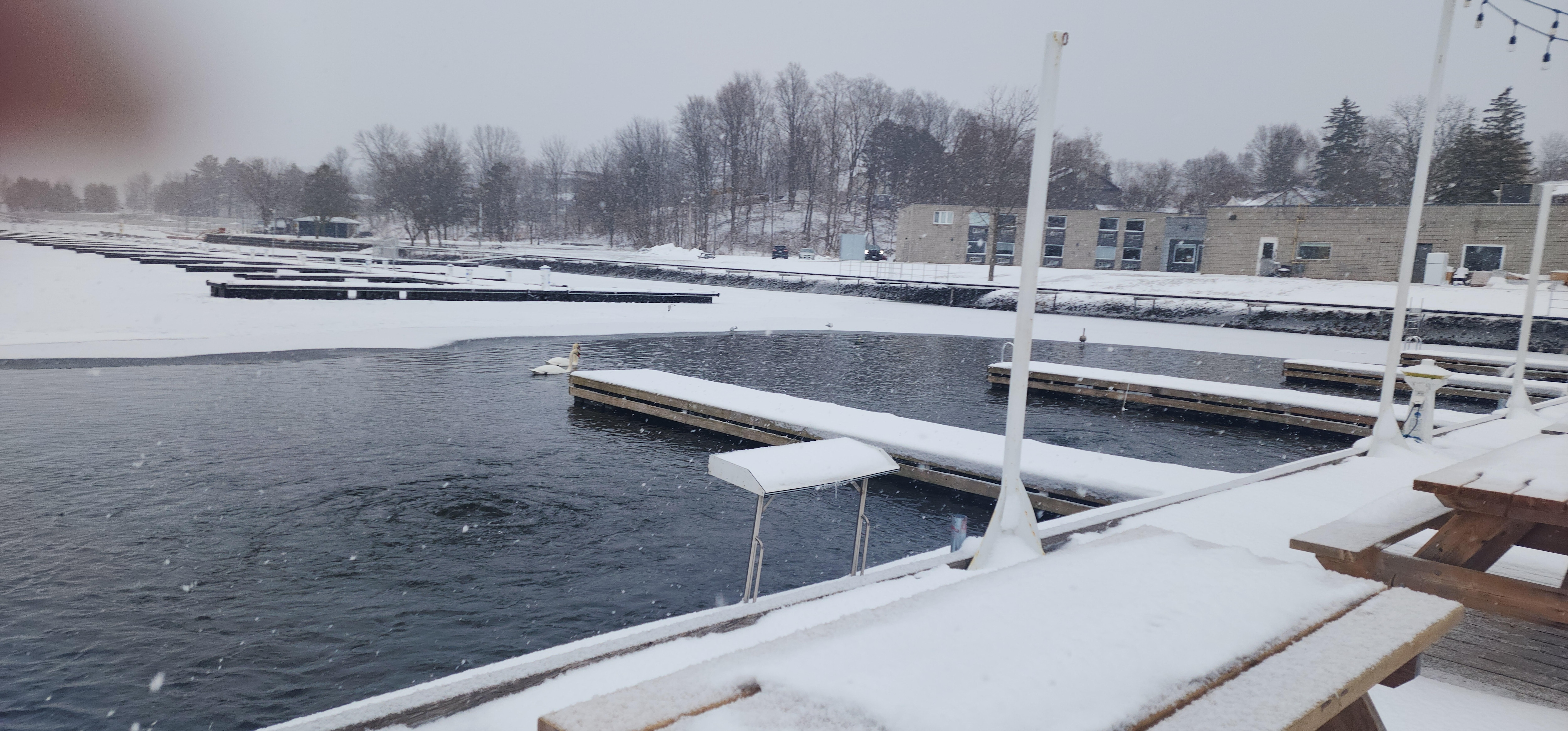 Area behind the rooms.