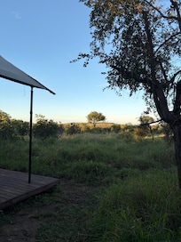 Vue de la tente