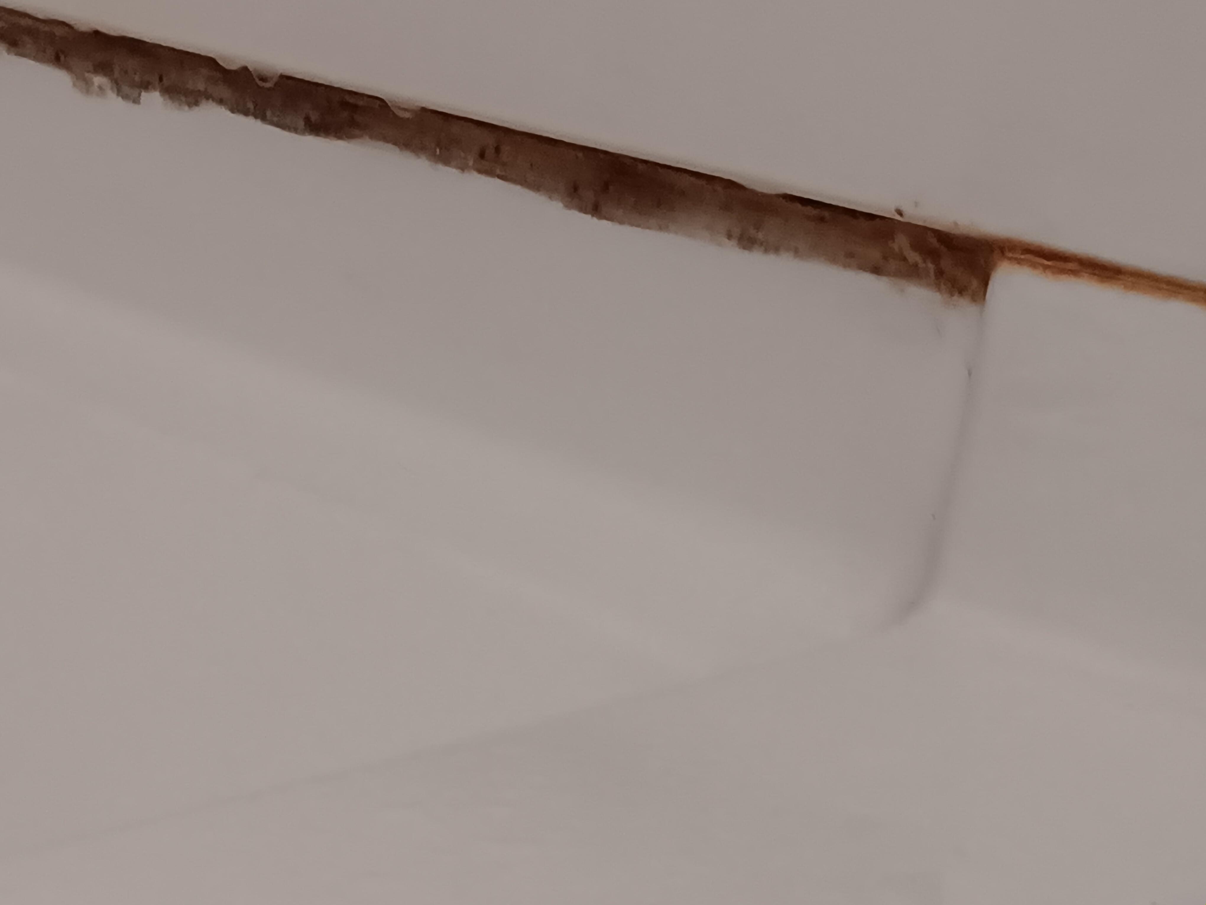 mold around bathtub