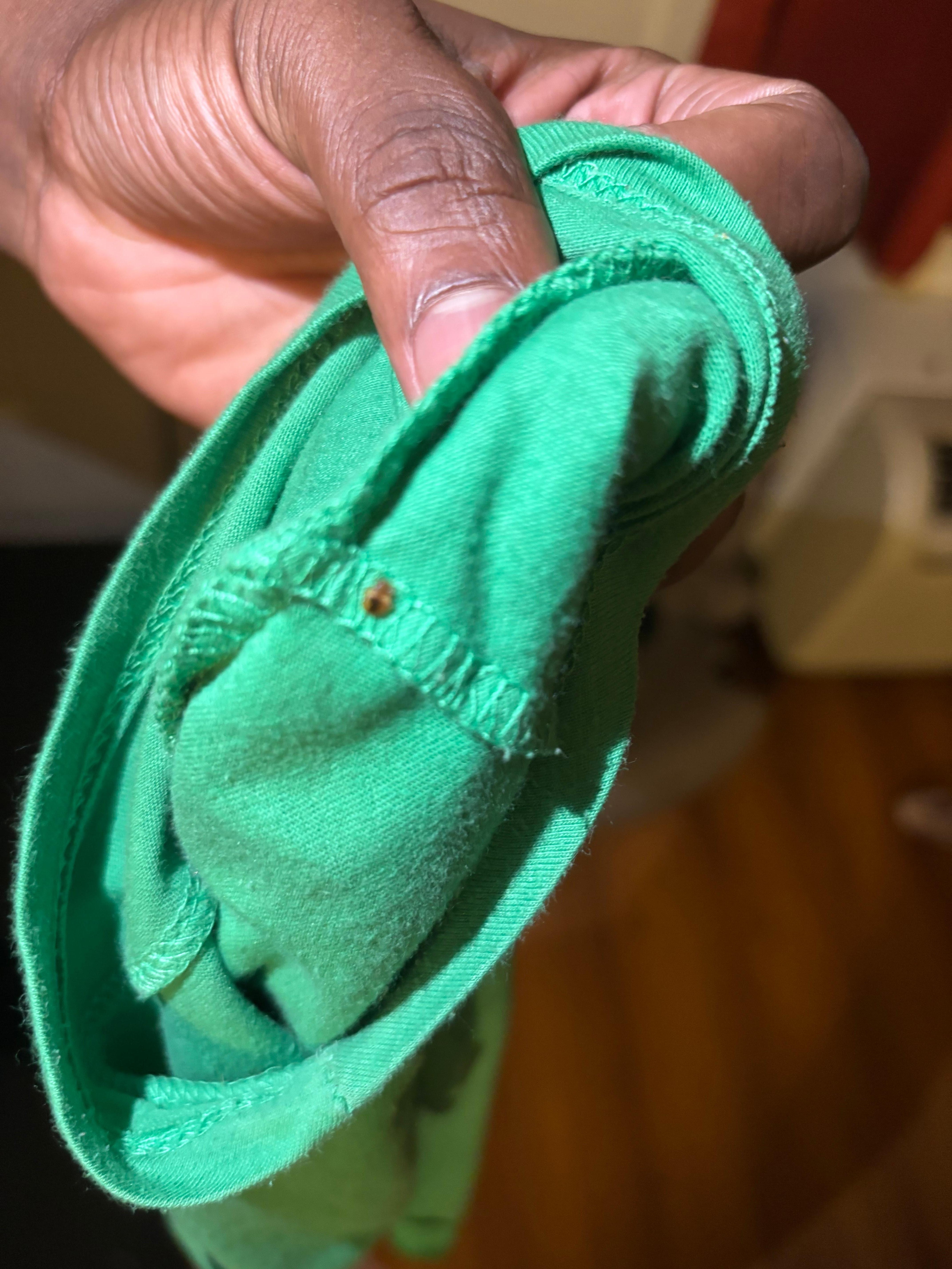 Bed bugs were spotted 