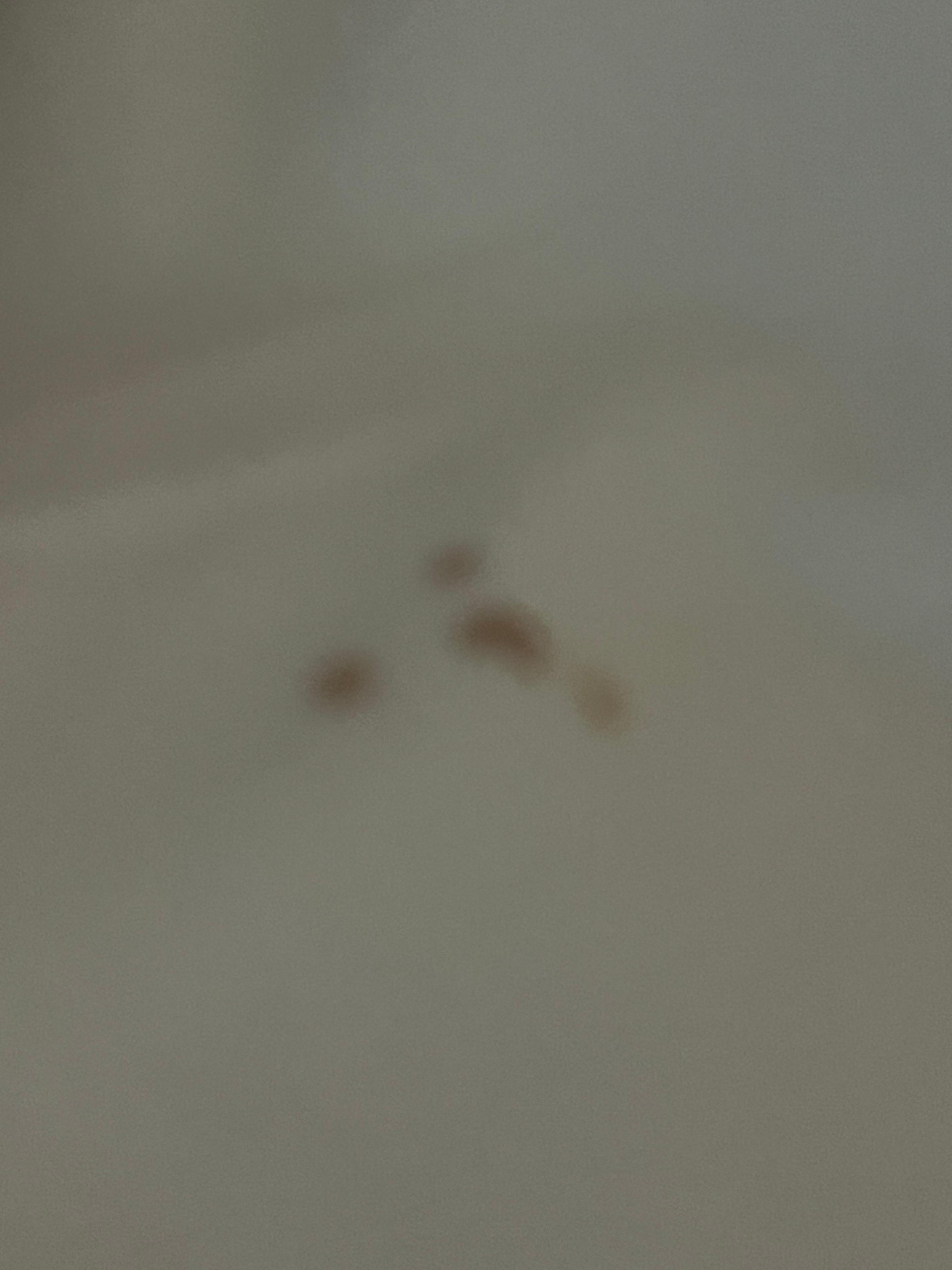 Spot (blood) on bottom sheet-put top sheet over it and slept in my clothes!!! Almost went out to the car to sleep! 