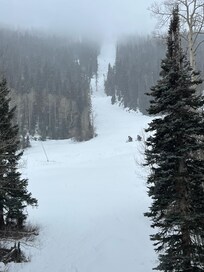 View from outside our room (patio)