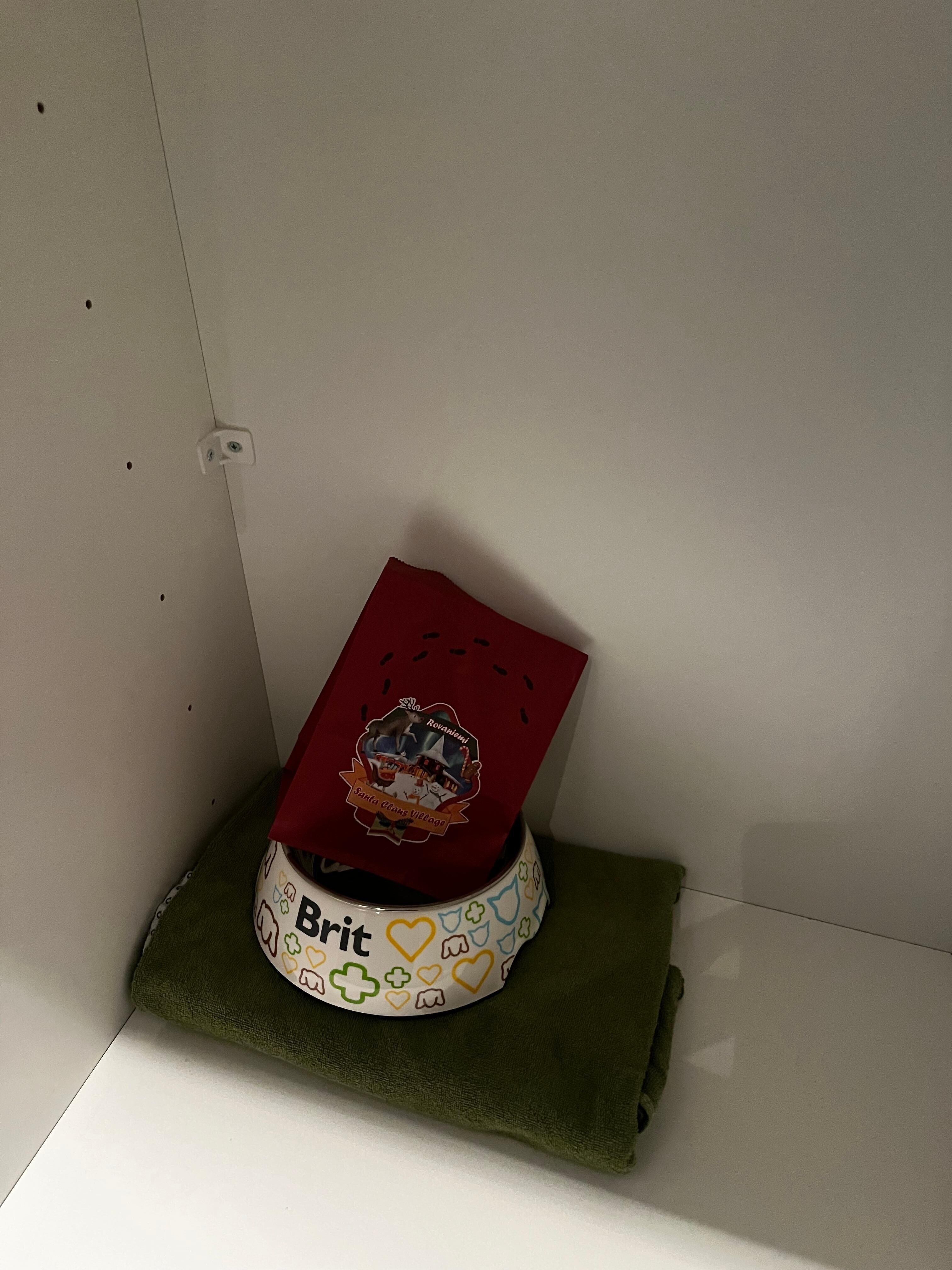 Santas gift for our dog 