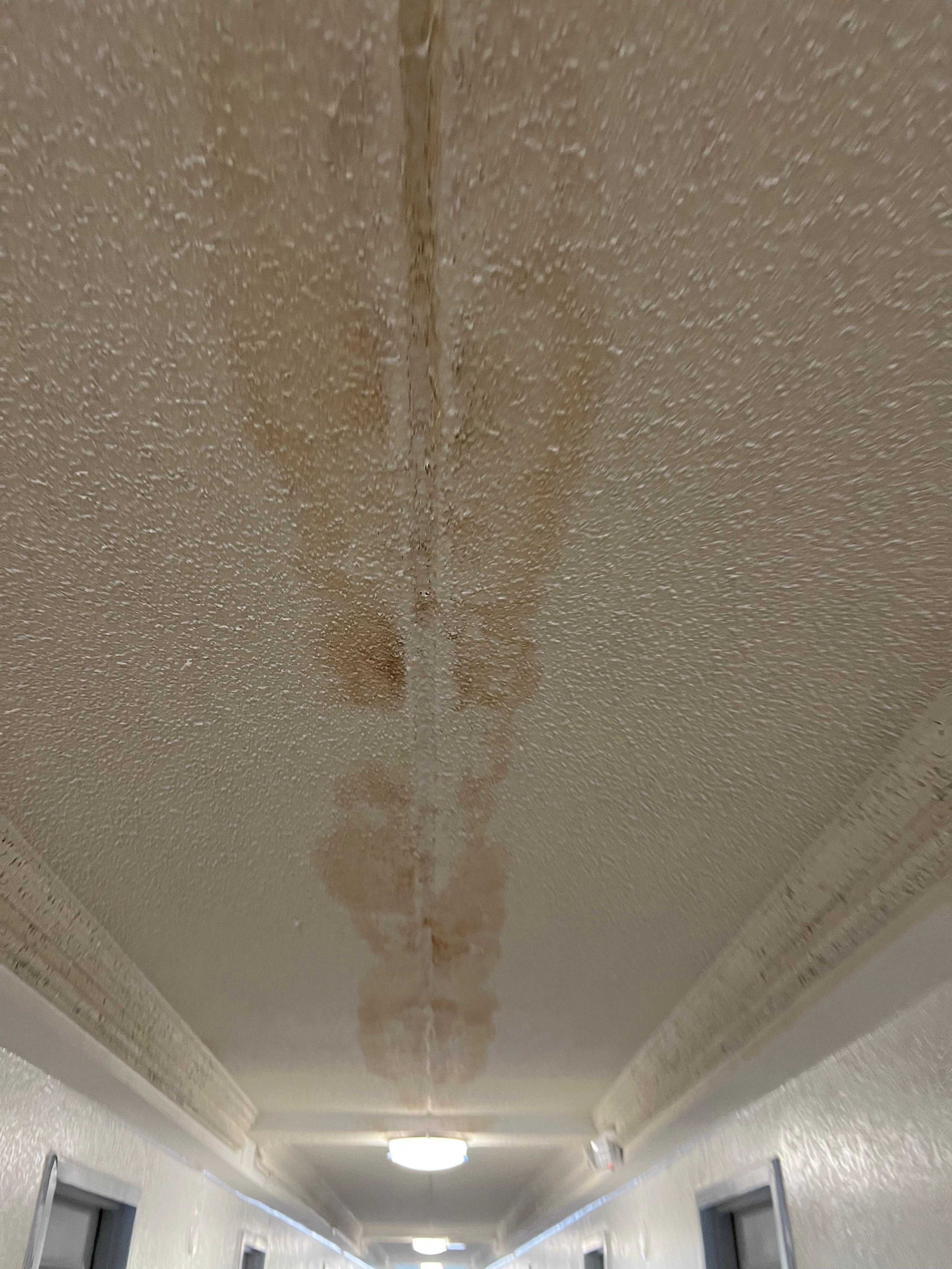 Water stain’s everywhere 