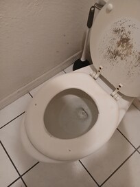 Long toilet with round seat