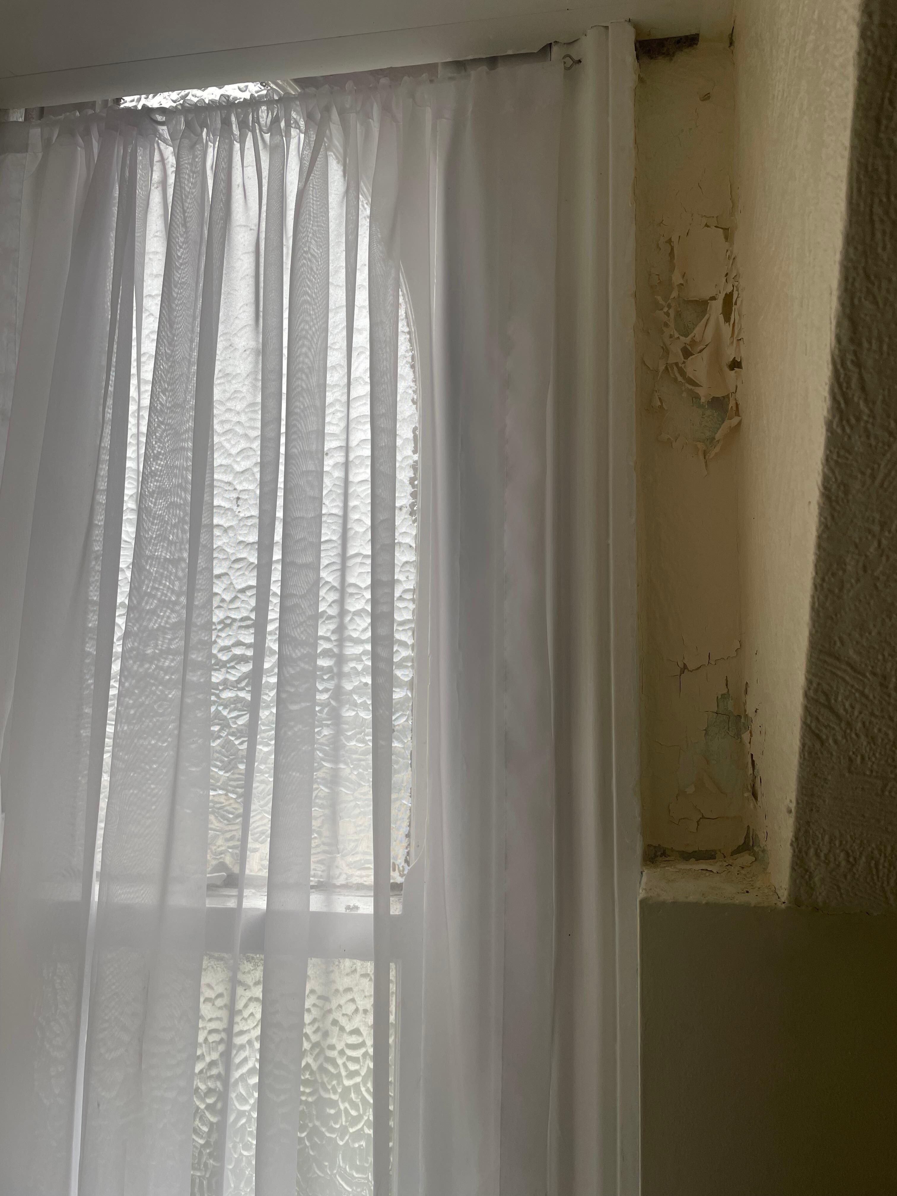 Damp peeling paper and plaster