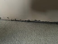 The base off the bed ripped all the way round