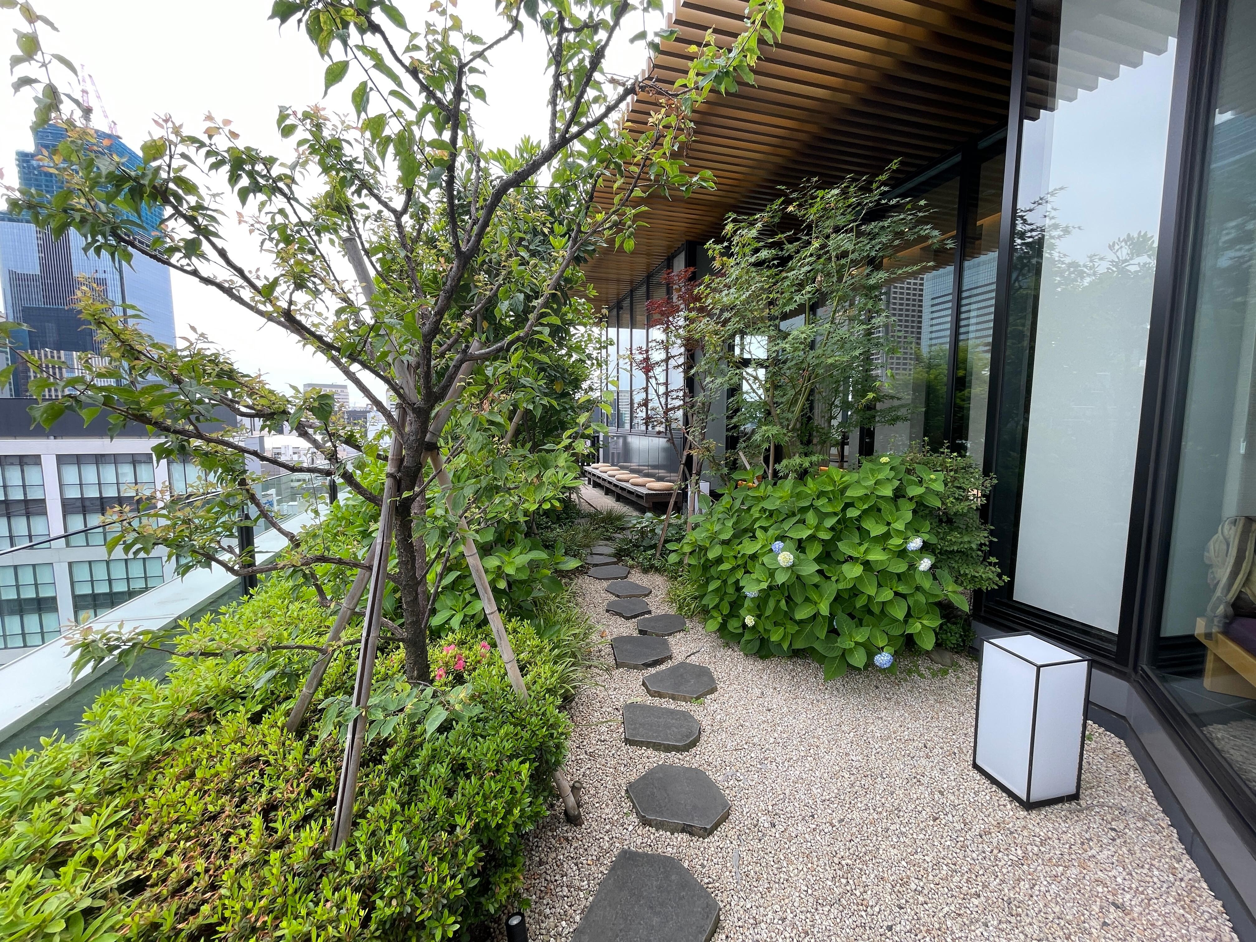 Roof Garden