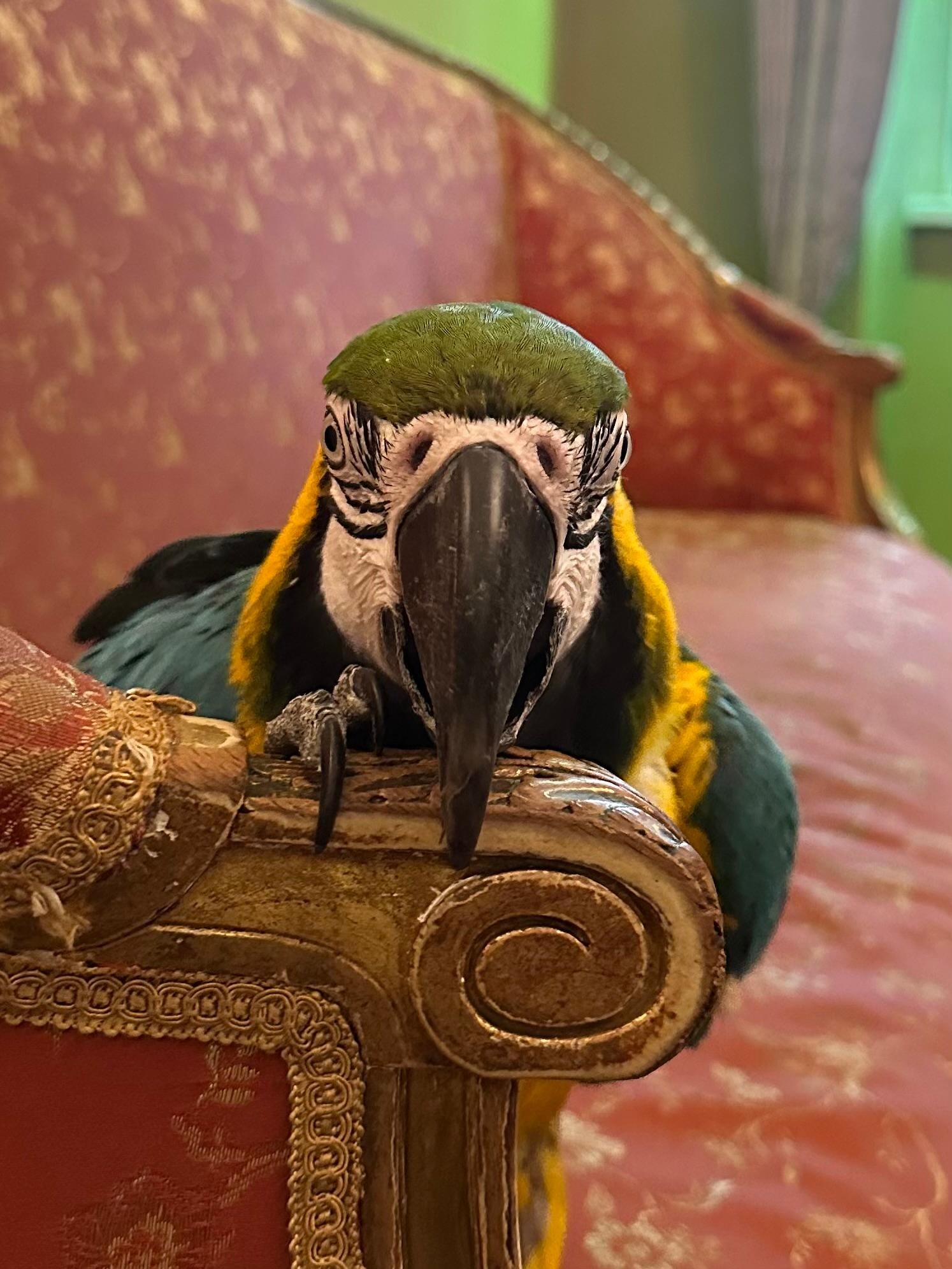 The receptionist is very friendly