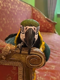 The receptionist is very friendly