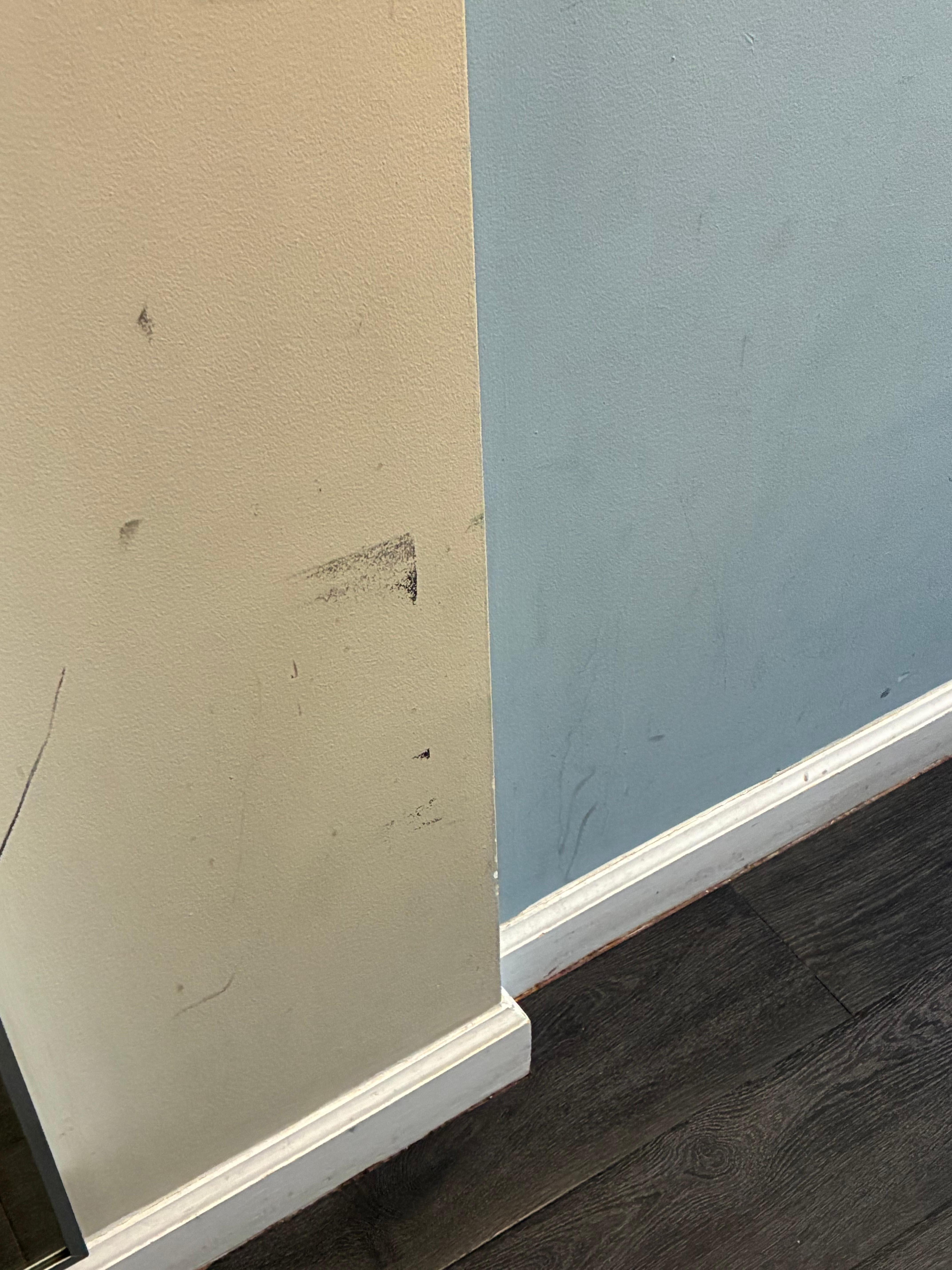 Scuffed walls