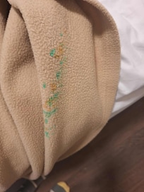 Blanket
