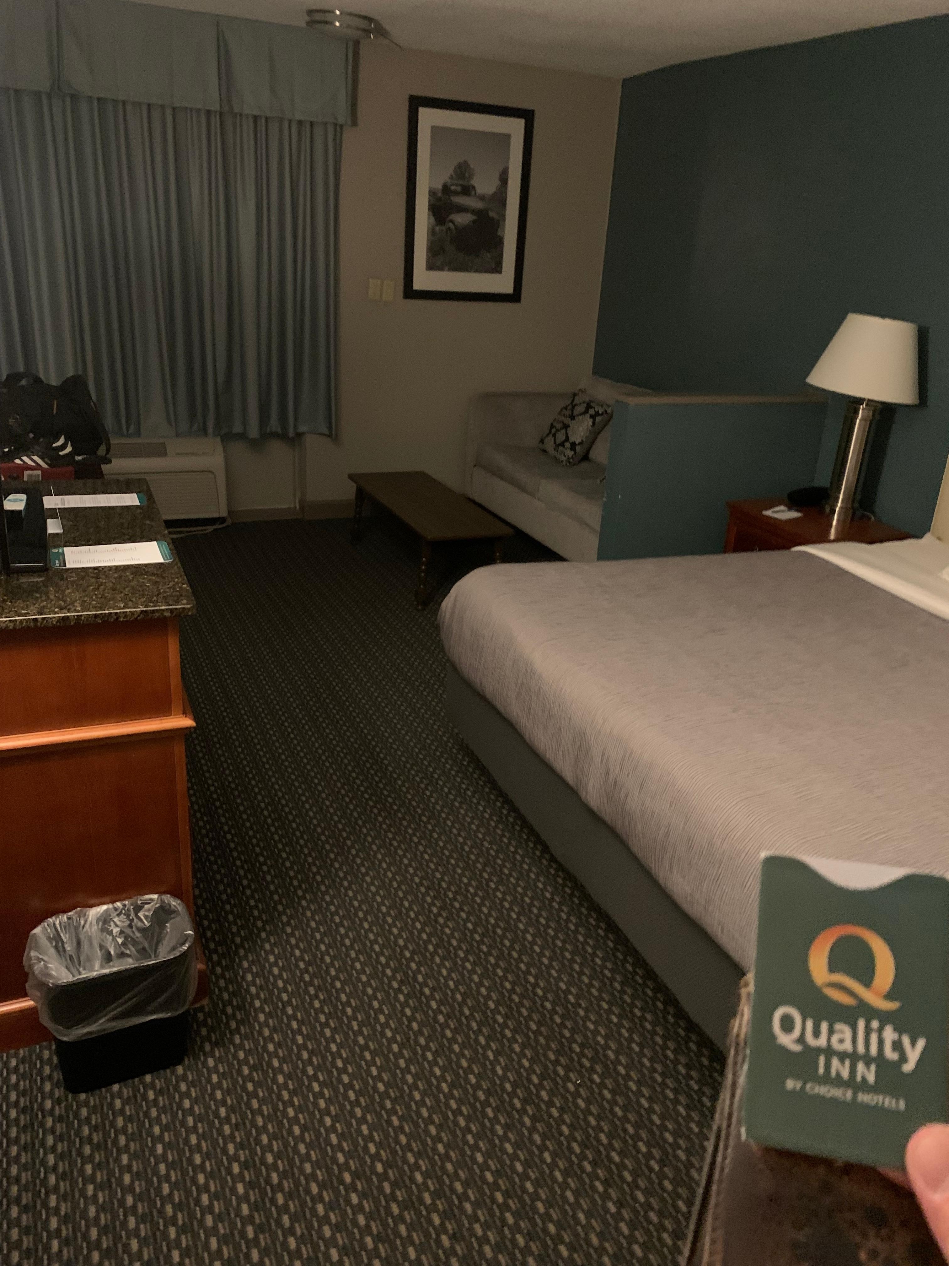 Just a typical king room. 