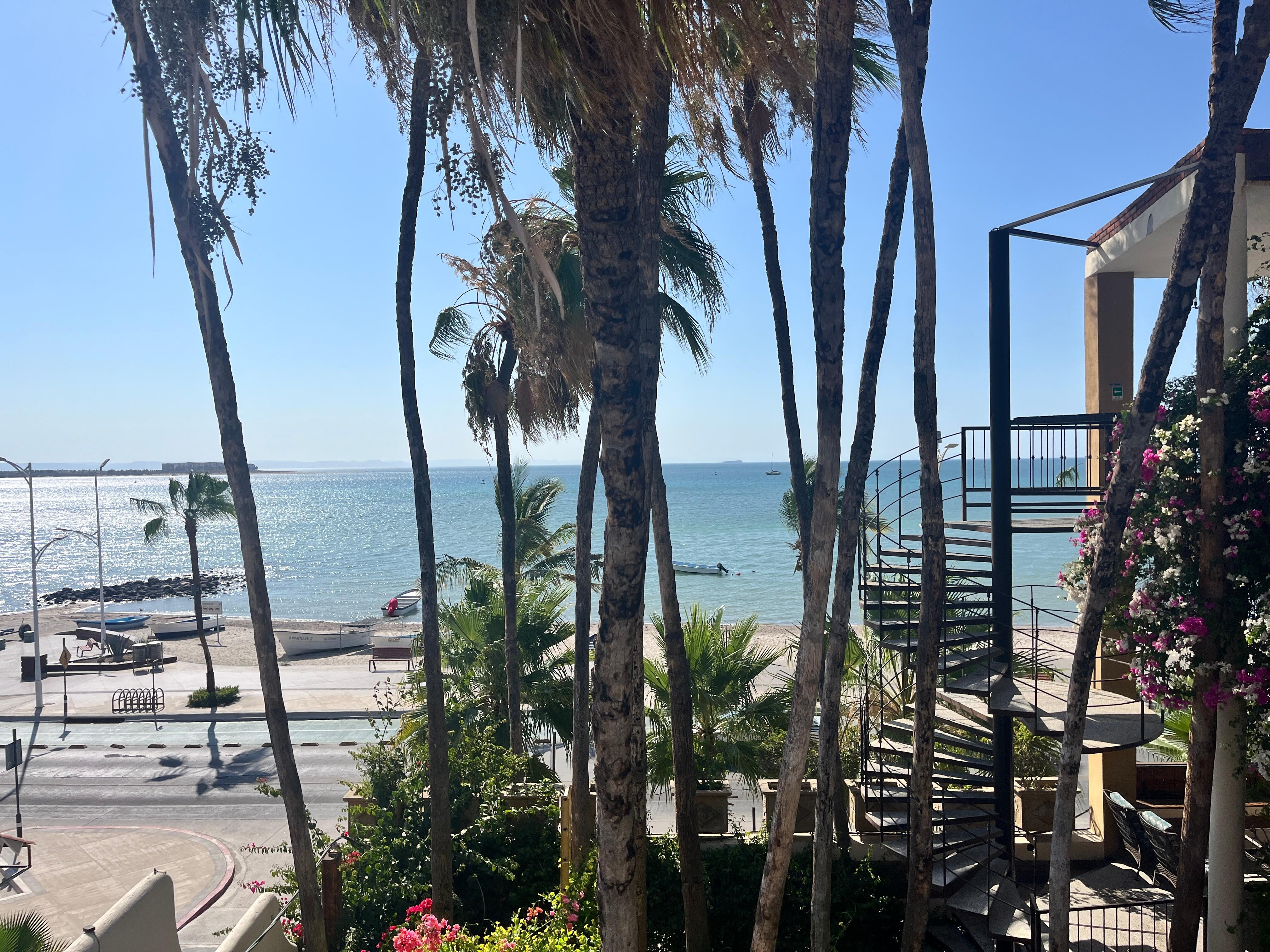 rooftop patio looking at Oliva