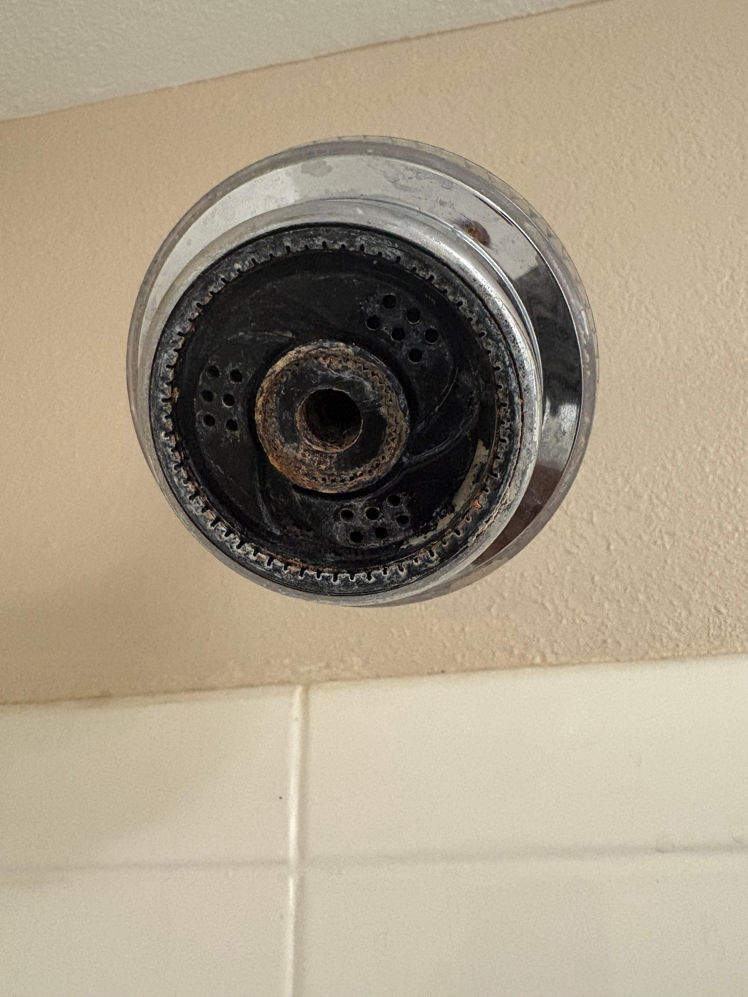 Rusted shower head. 