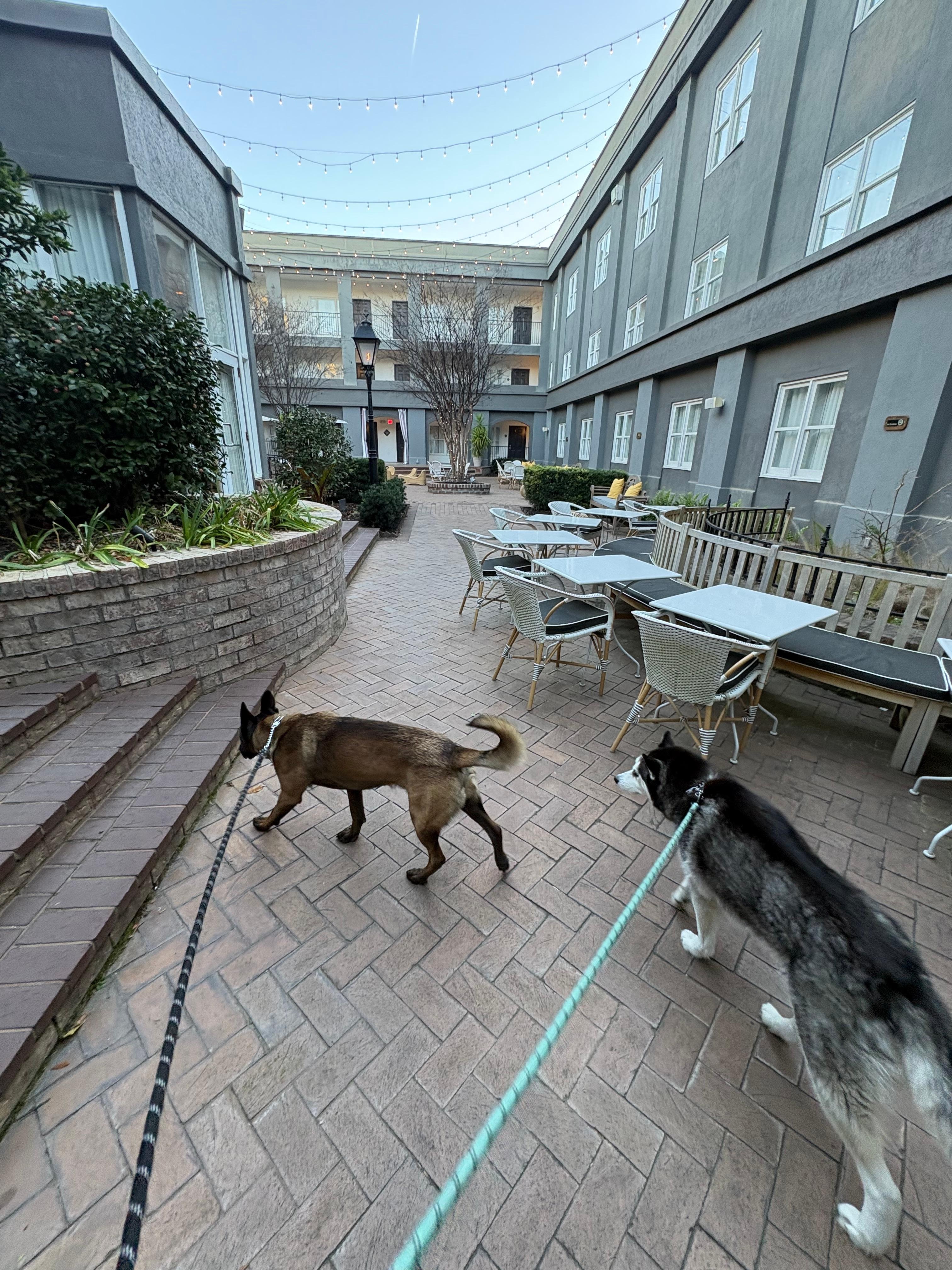 Luna and hades exploring 