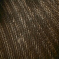 Toe nails on the floor