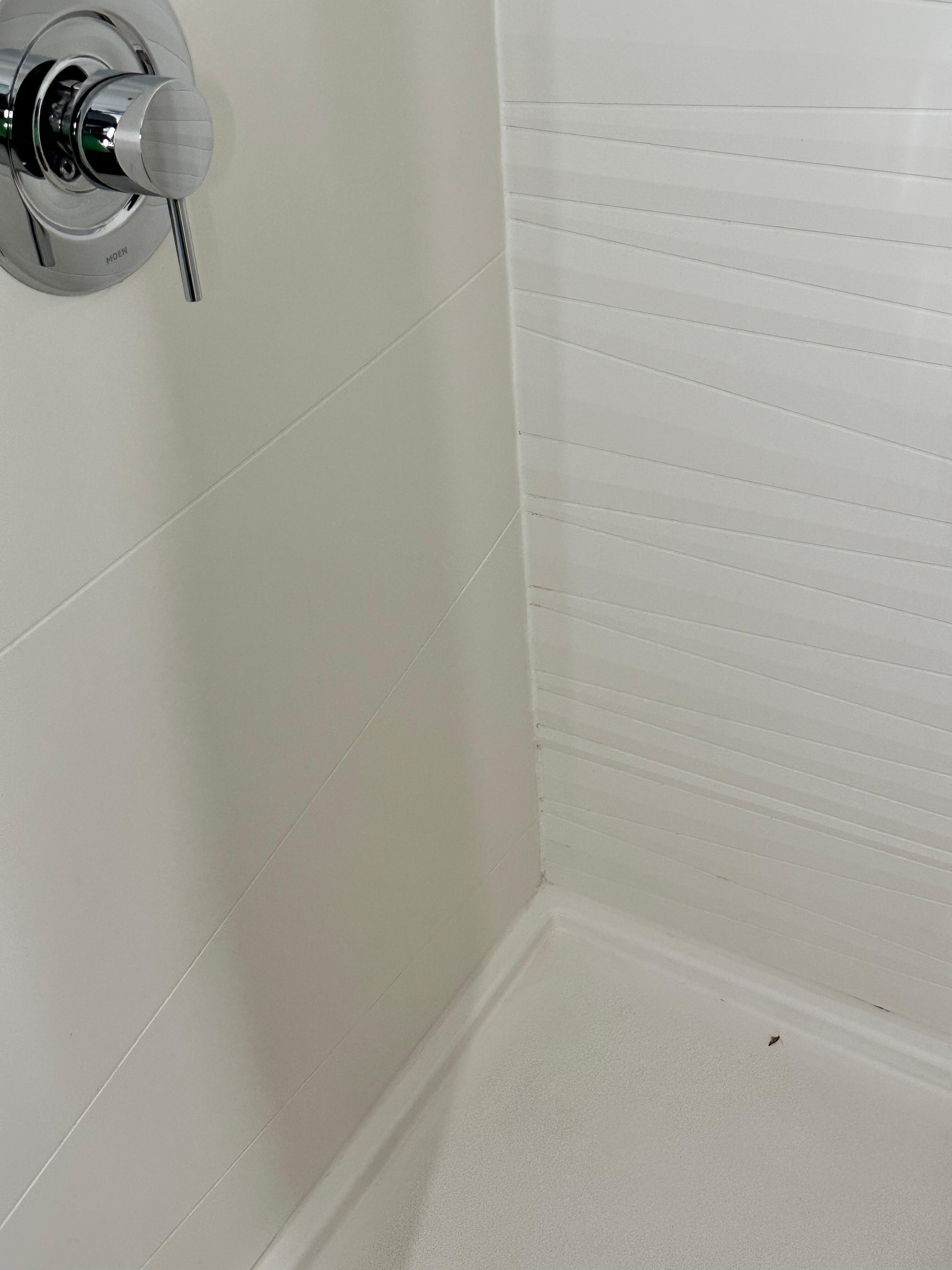 Roaches in shower 