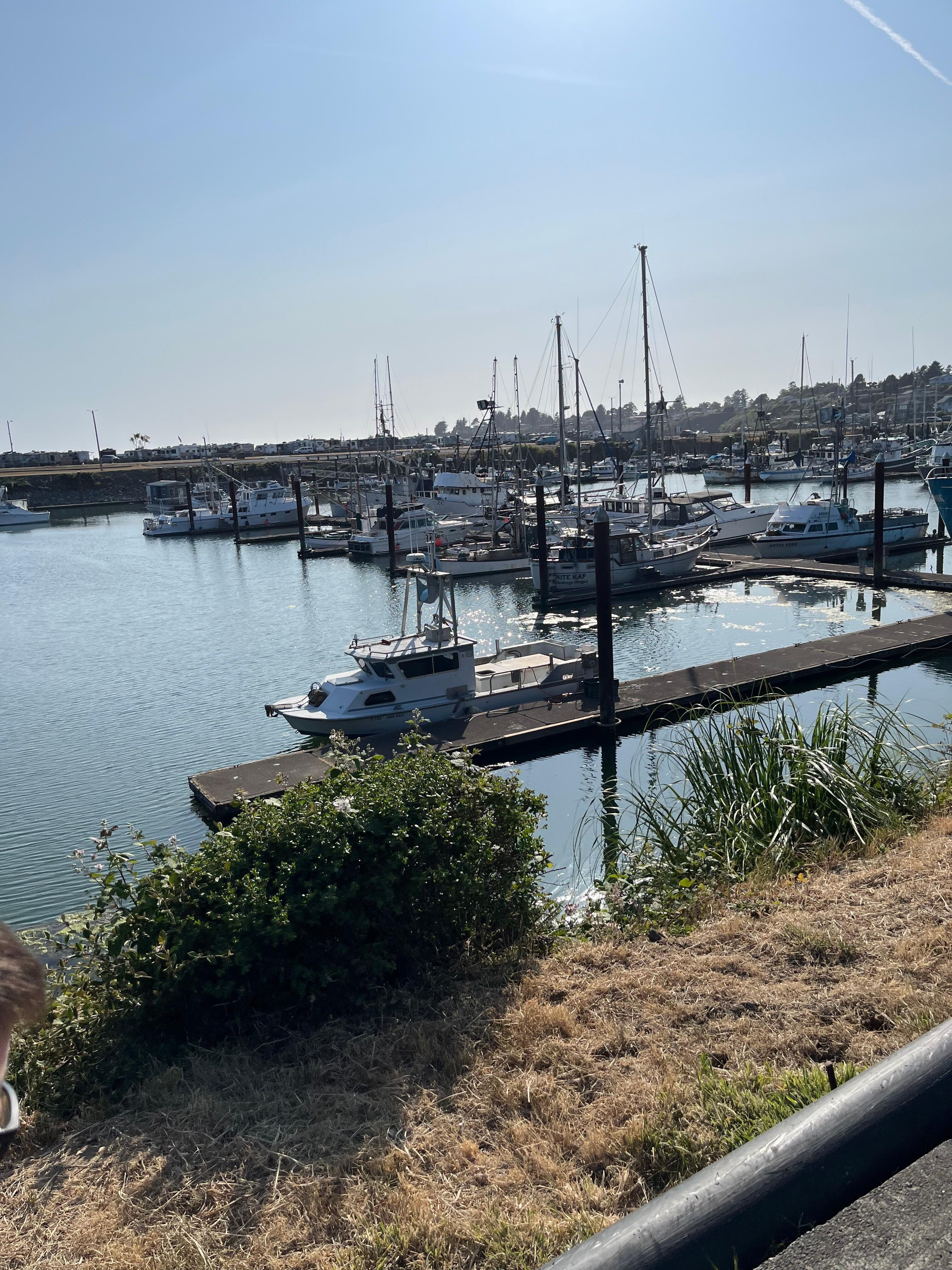 Harbor