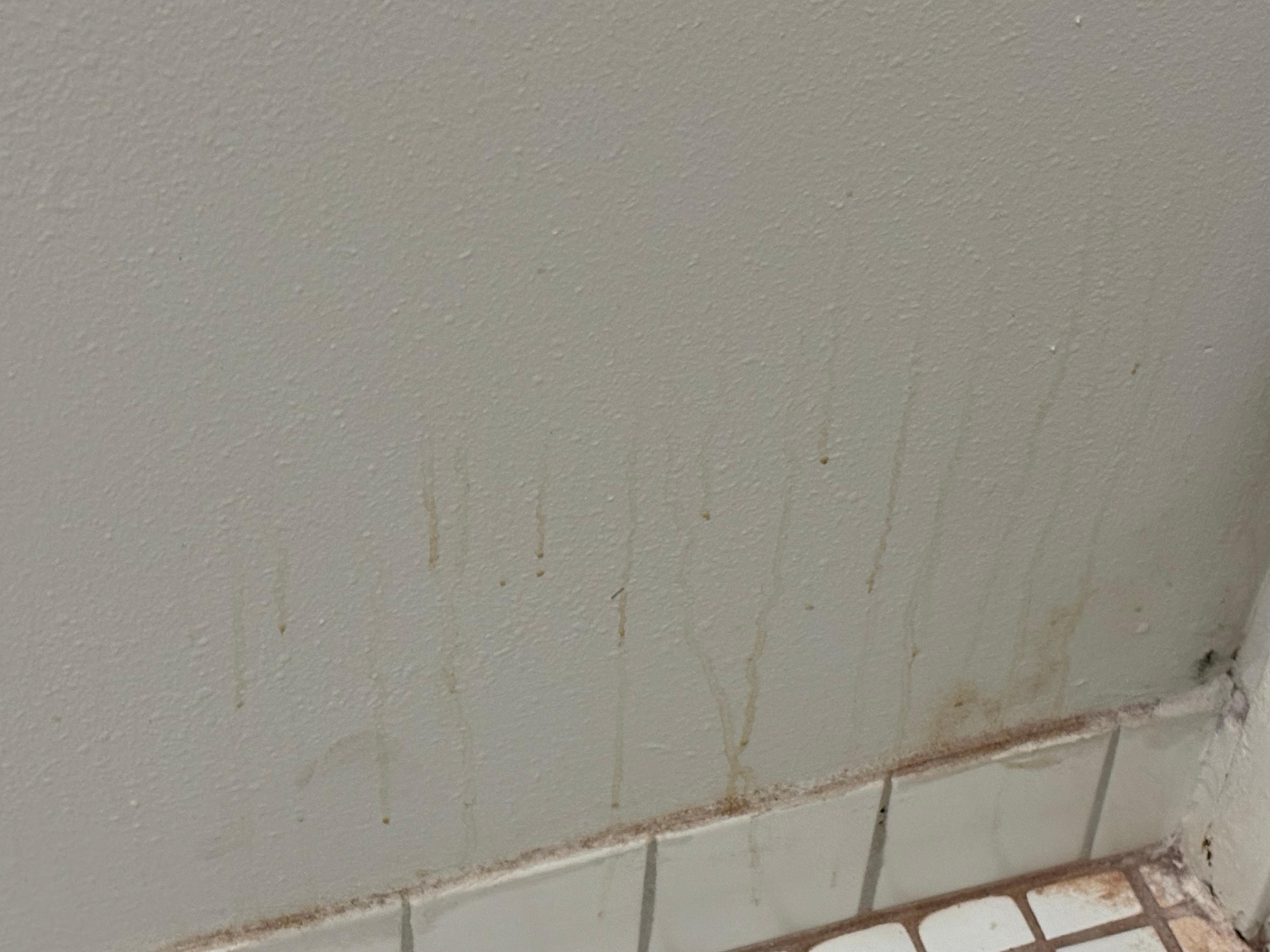 Wall behind rhe bathroom door