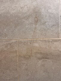 Hair stuck on the shower wall.