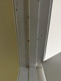 Mold all over the door frame to the bathroom