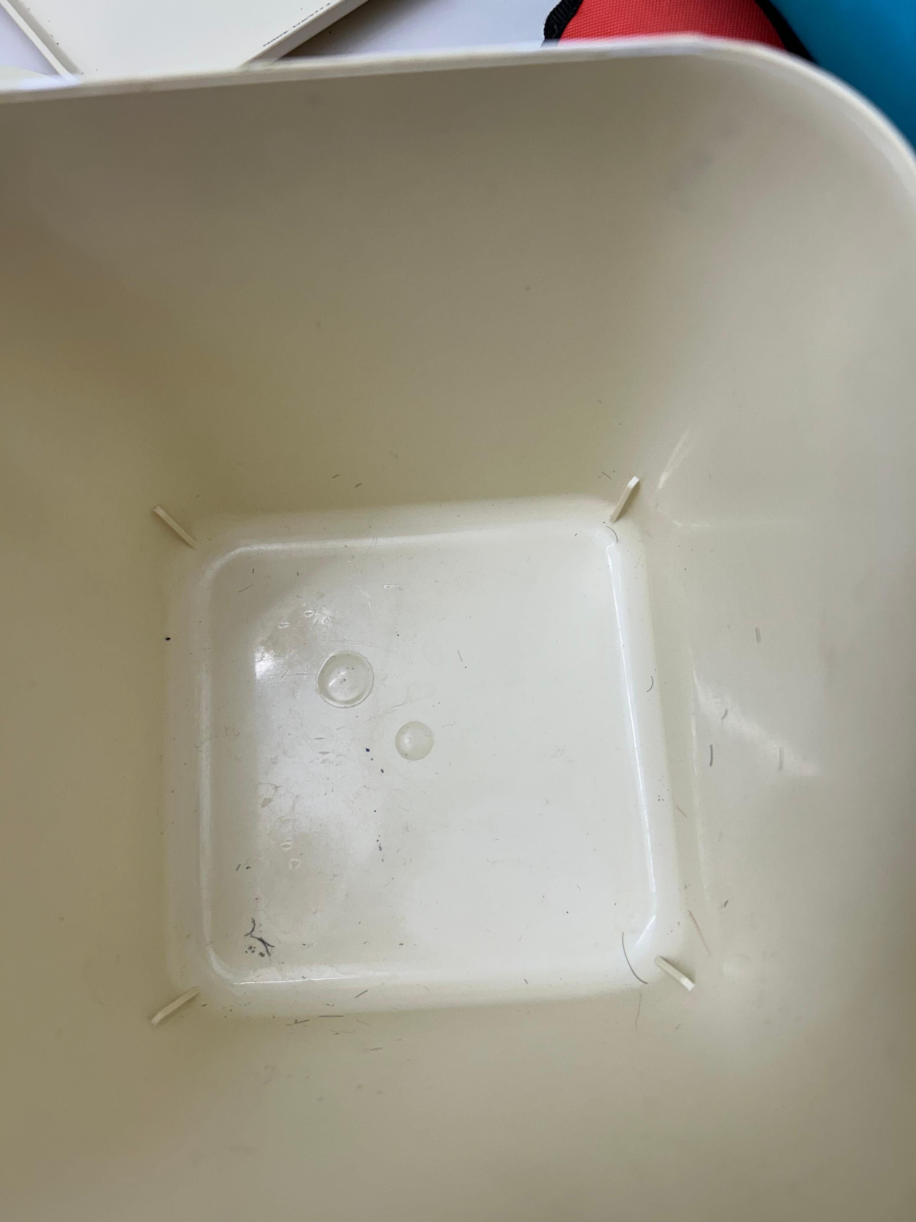 Dirty ice bucket with hair in it