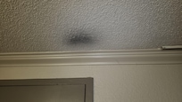 Looks like a burn spot on ceiling