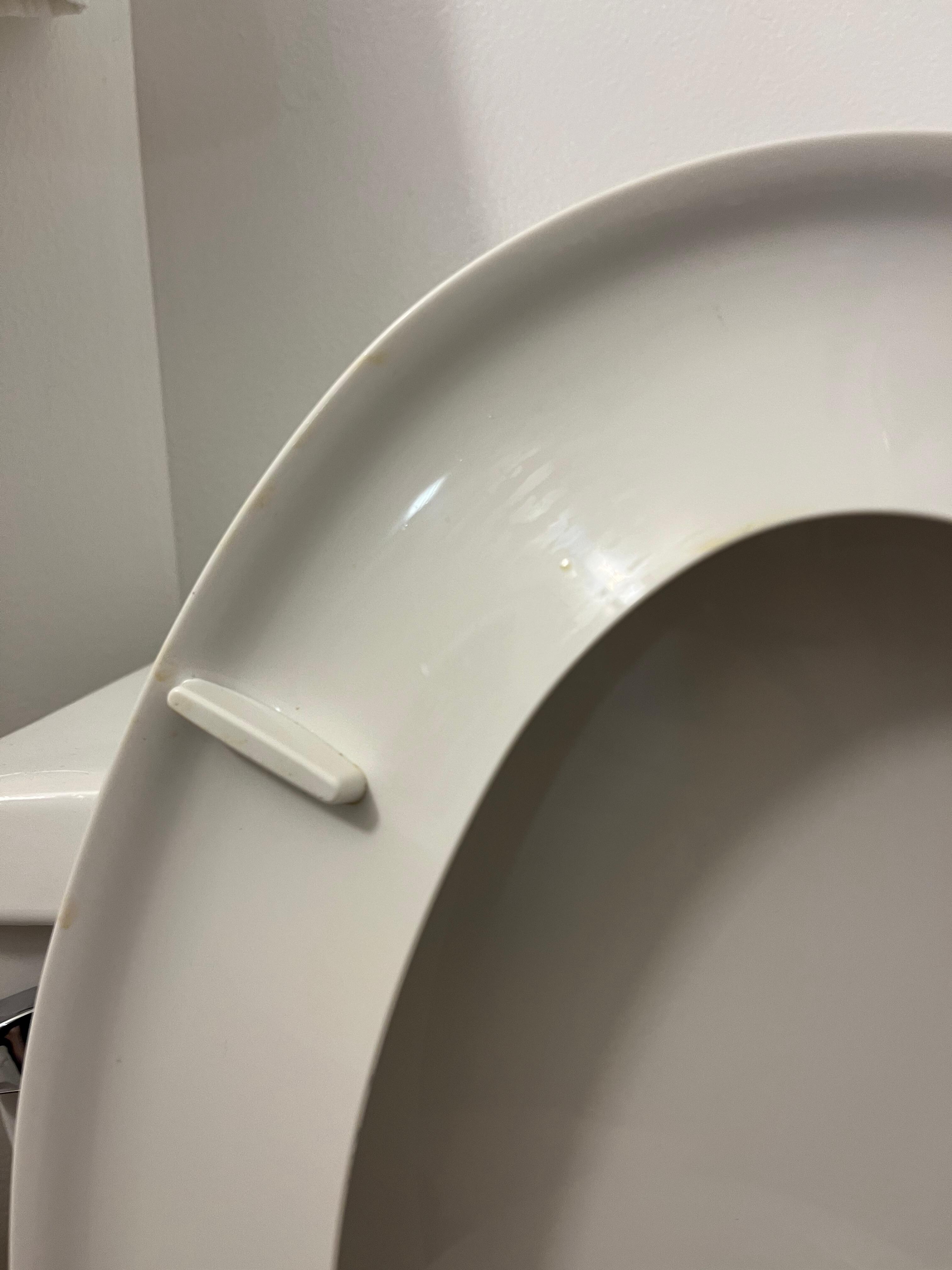 Urine 