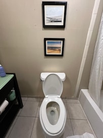 Disgusting toilet