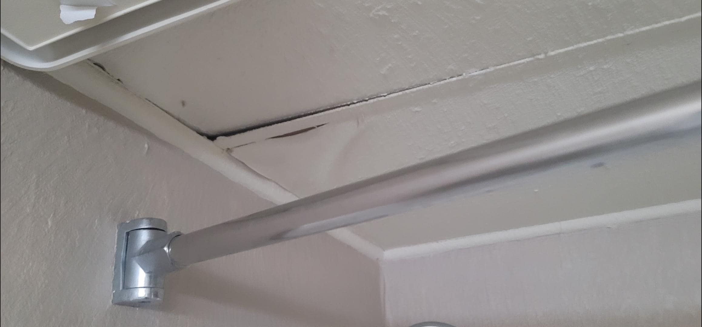 Ceiling tiles and paint coming off 