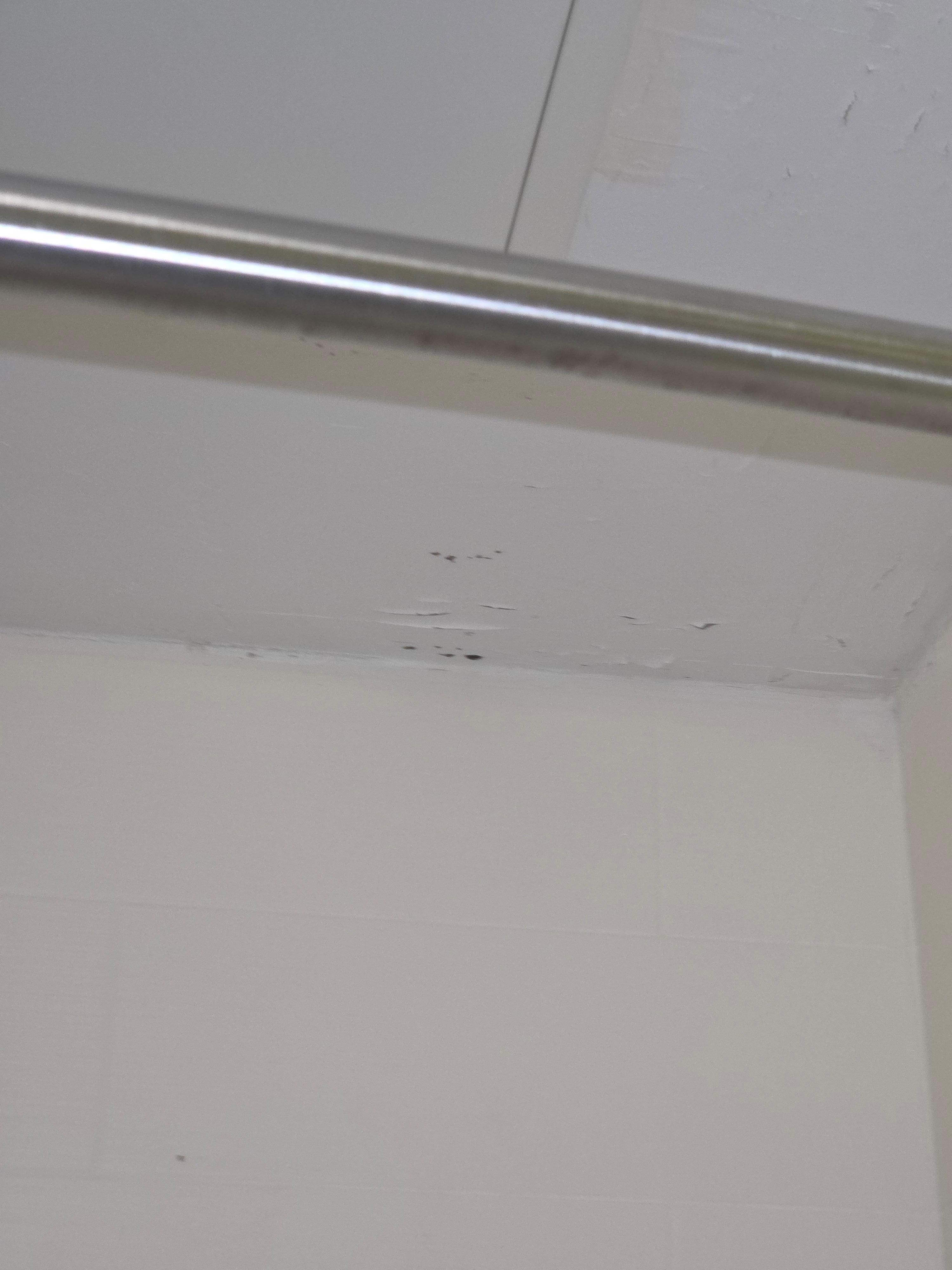 Black mold in the bathroom that they claimed they were not aware of