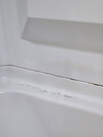 Mold on the tub
