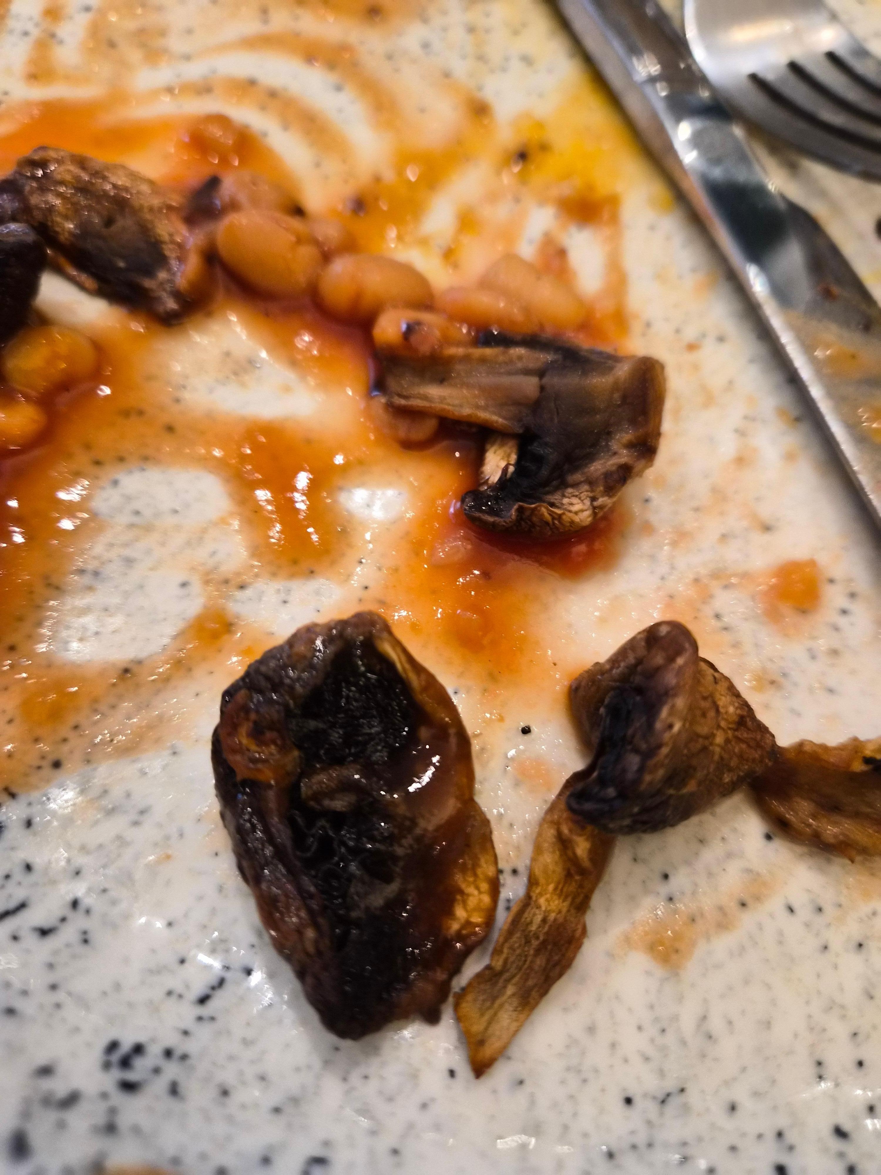 Mushrooms cooked last week and served this morning 