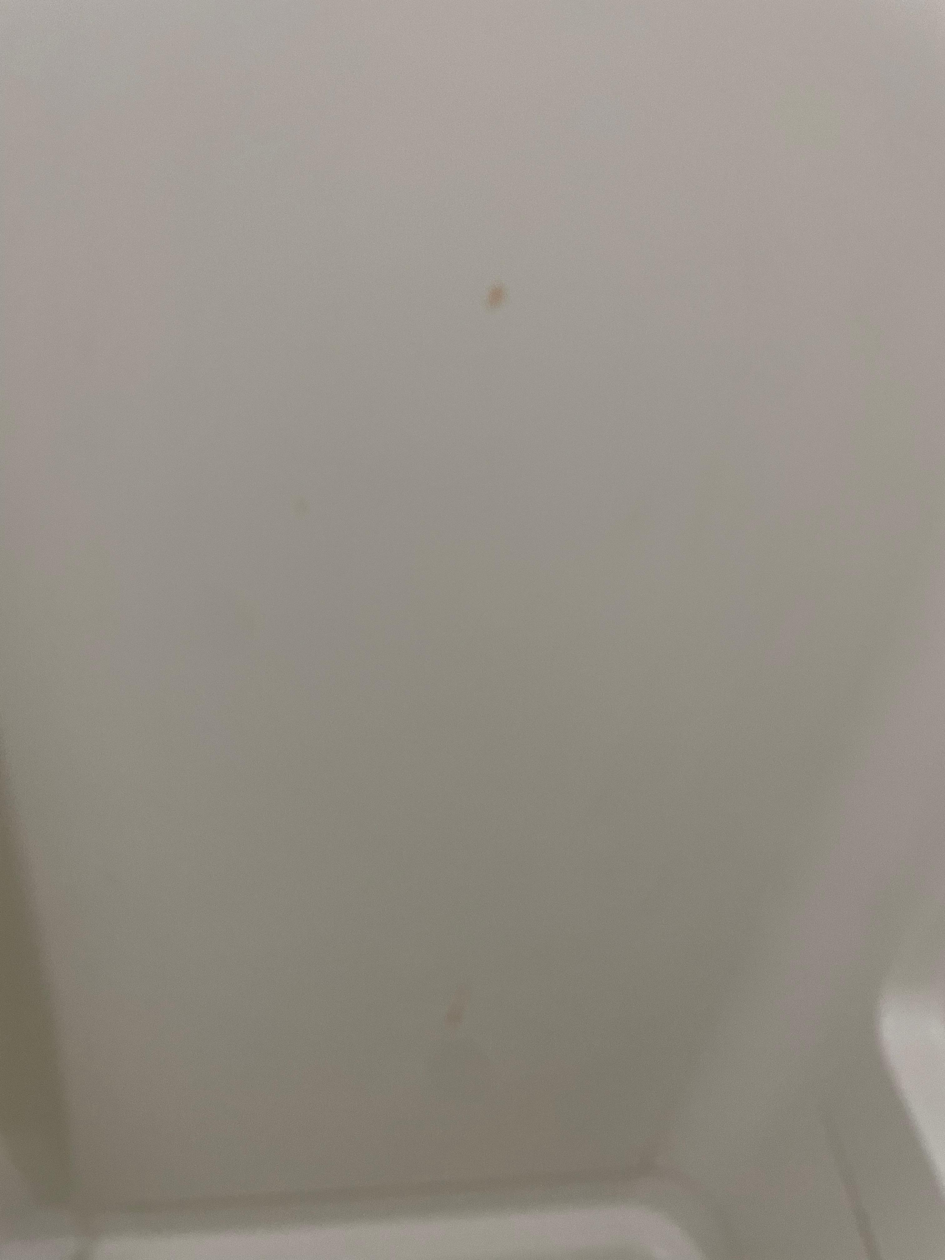 Stains on shower wall 