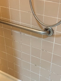 Mold in shower