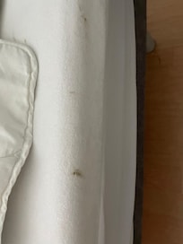 Unknown spots on mattress protector