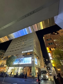 銀座six から撮影。隣りは銀座ライオン。