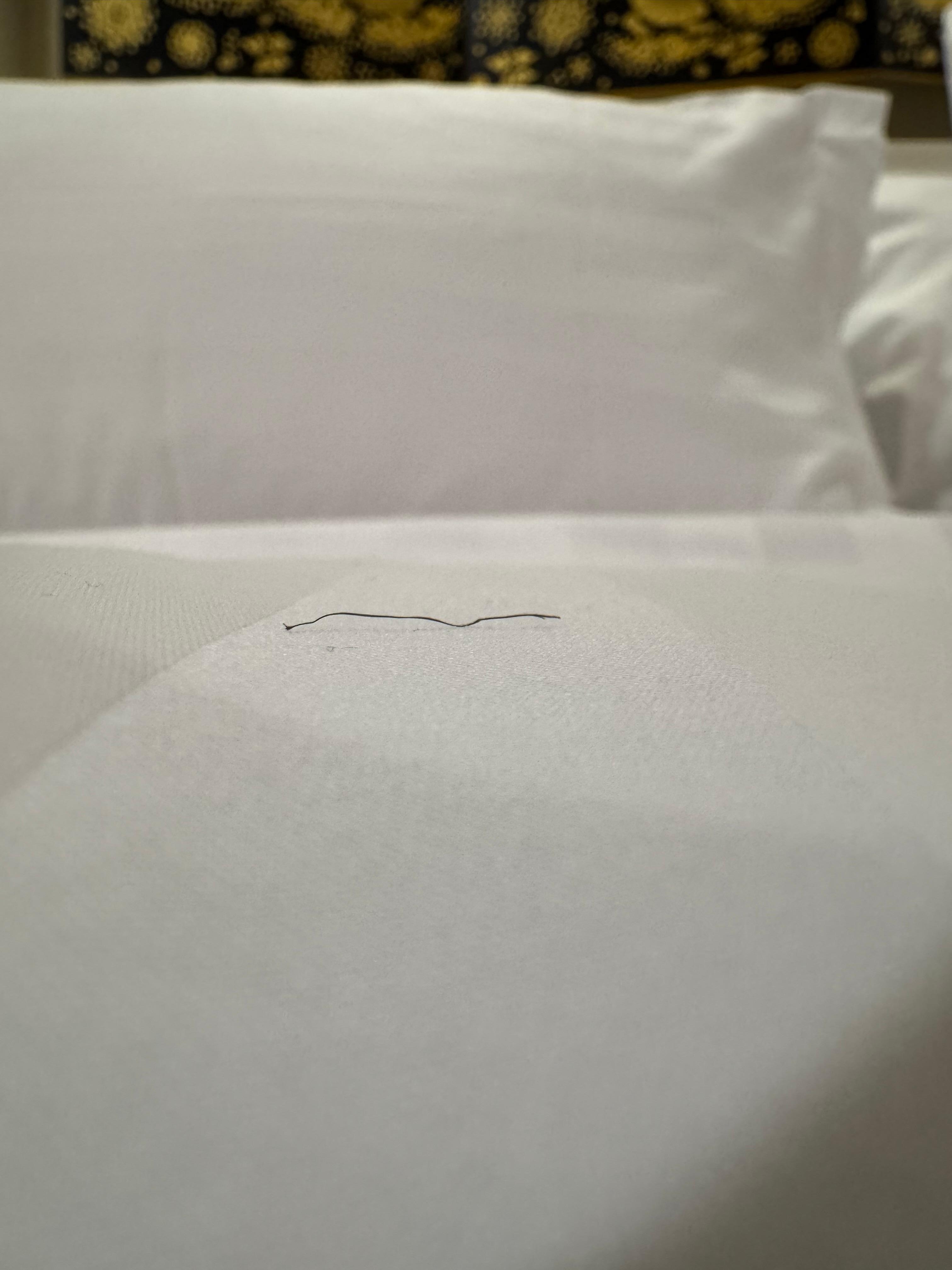 Found someone’s hair on my bed on check in (this is the second room, after the hotel changed the room).