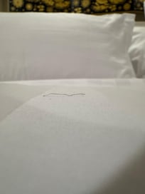 Found someone’s hair on my bed on check in (this is the second room, after the hotel changed the room).